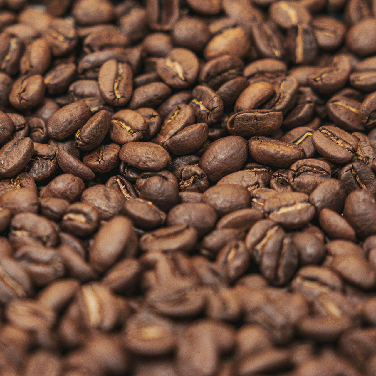 Best Sellers – Vail Mountain Coffee & Tea