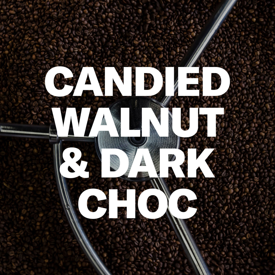 Shop Vail Mountain Coffee & Tea's Wide Selection of Coffee
