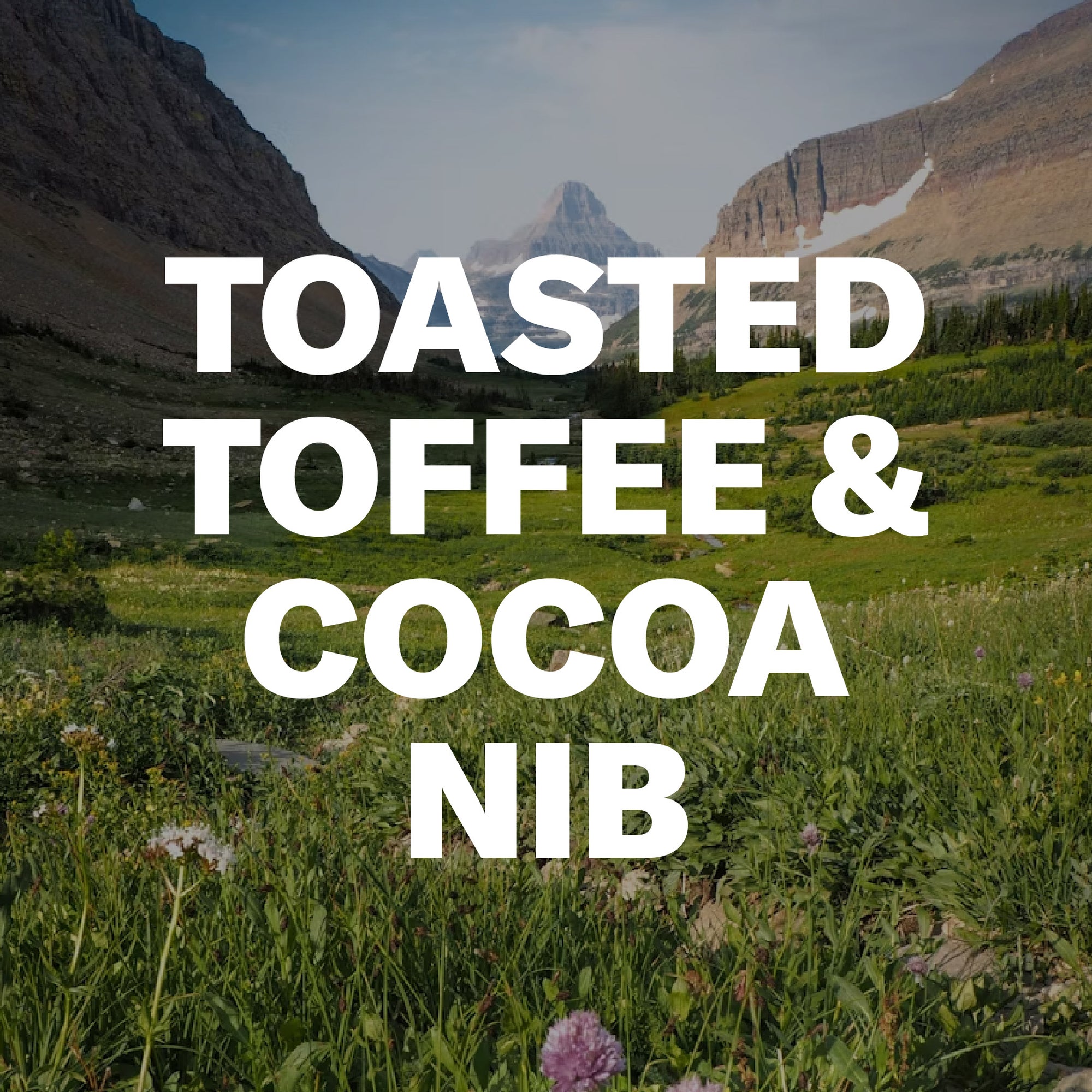 Vail Mountain Coffee & Tea Co