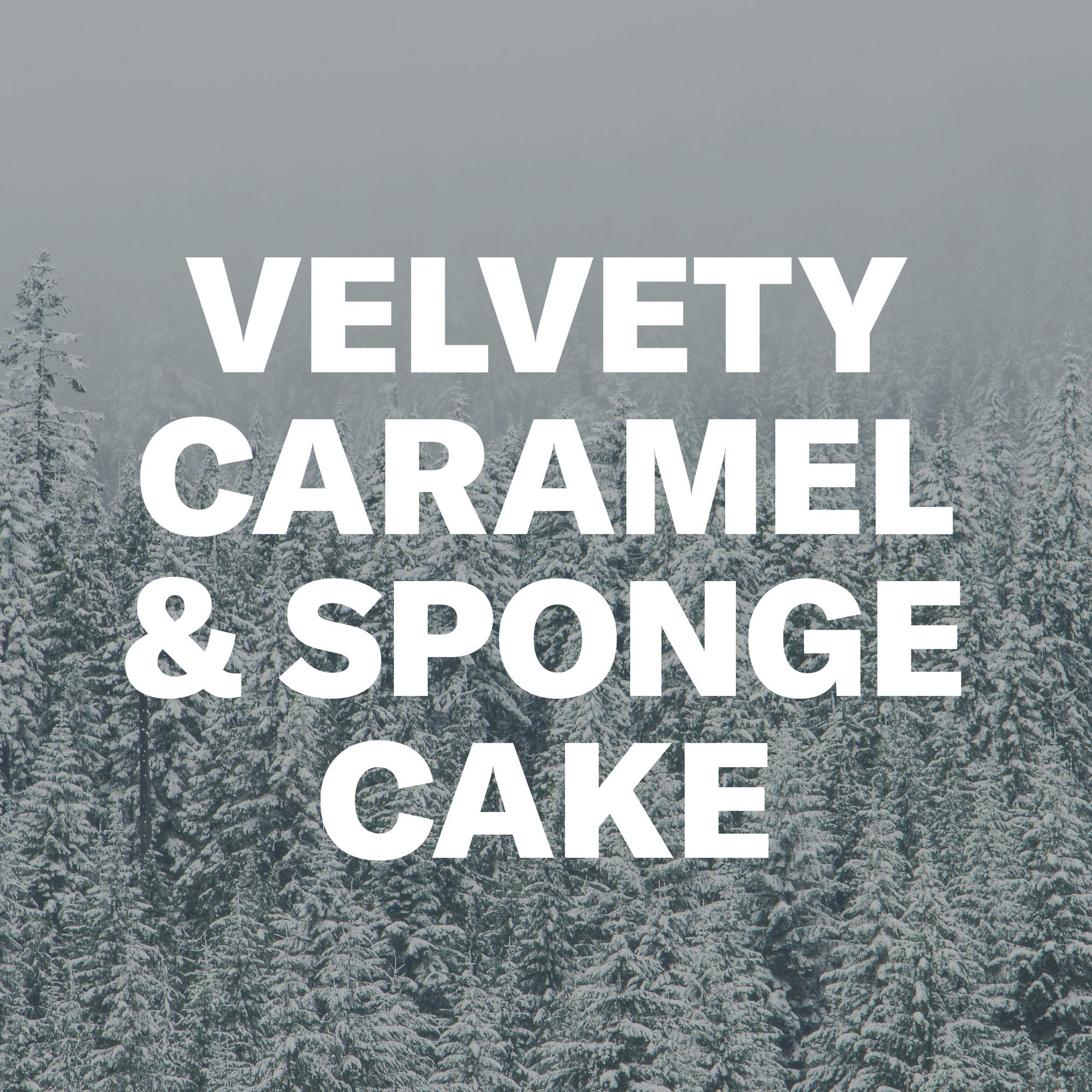 Vail Mountain Coffee & Tea Co